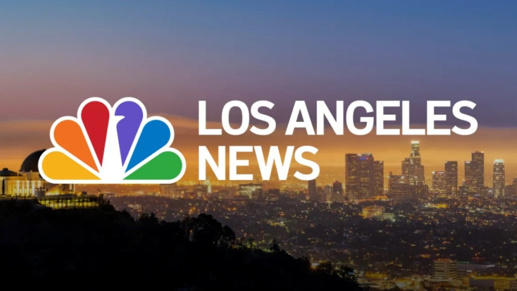 Home Dog Training | Private In-Home Dog Training | Bark Busters