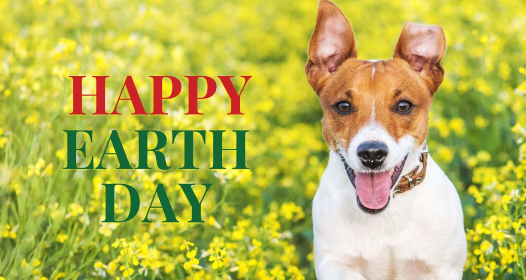 Celebrating Earth Day as a Dog Owner