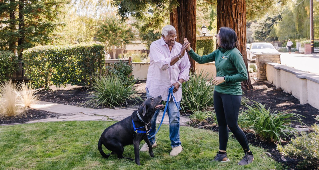 Ultimate Guide to Dog Ownership | Bark Busters