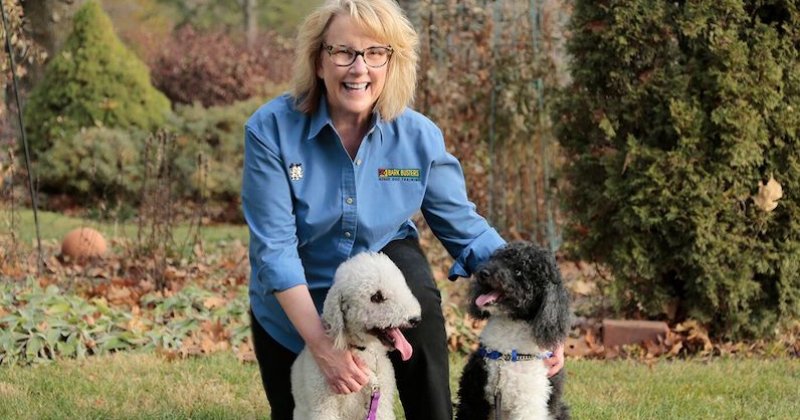 Dog Training in Greater Des Moines, Iowa