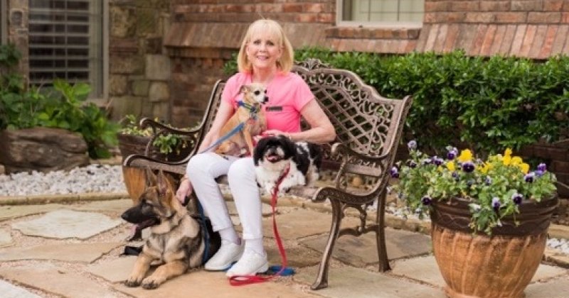 Dog Training in Dallas & Fort Worth, Texas | Bark Busters