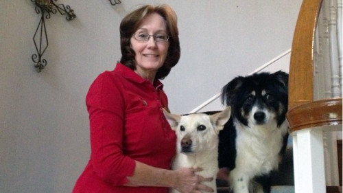 Dog Training in Montgomery County, Texas