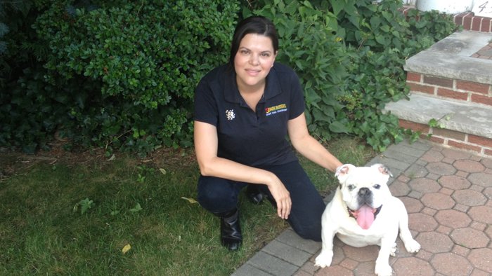 Dog Training in New York City, New York | Bark Busters