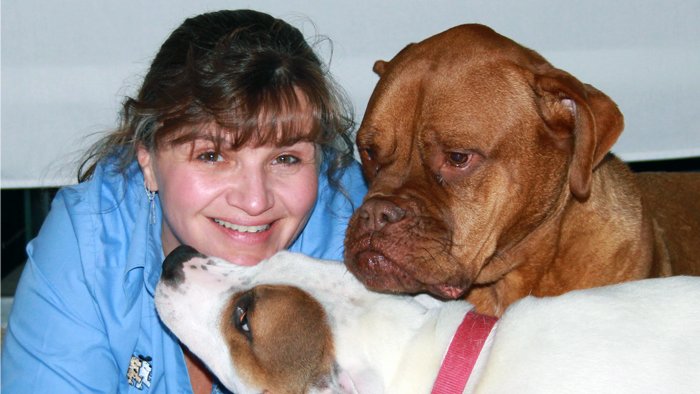 Dog Training in Knoxville, Tennessee