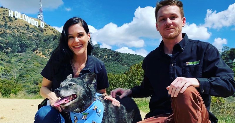 Dog Training in Greater Los Angeles, California