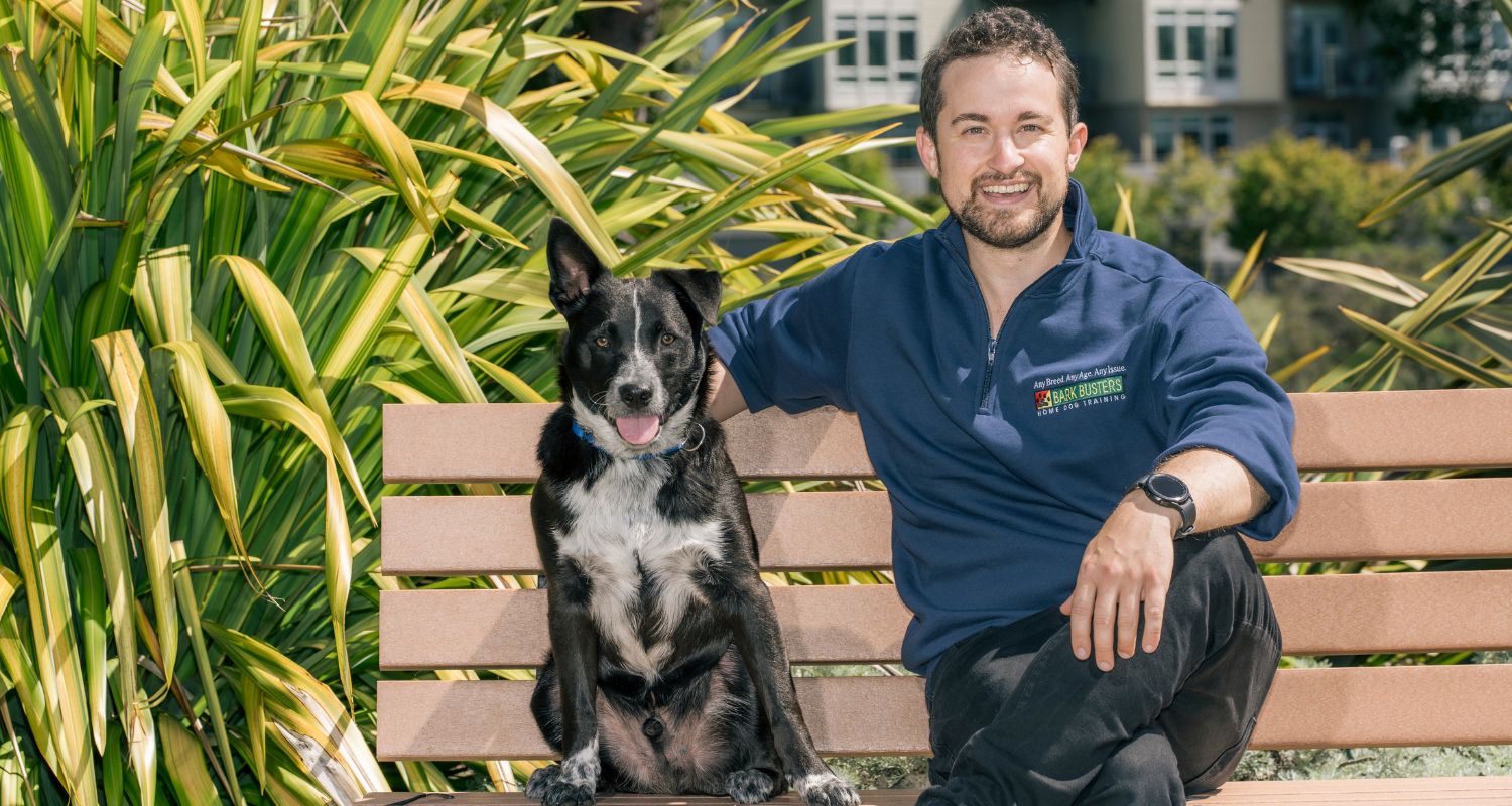 How to Crate Train Your Puppy for Better Sleep and Behavior