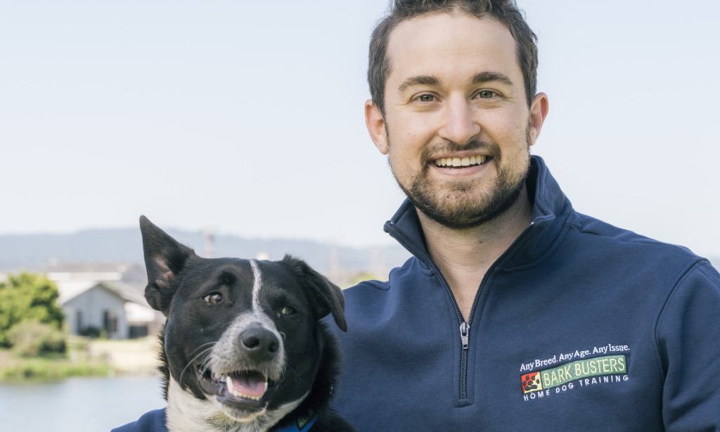 Home Dog Training Service Locations | Bark Busters