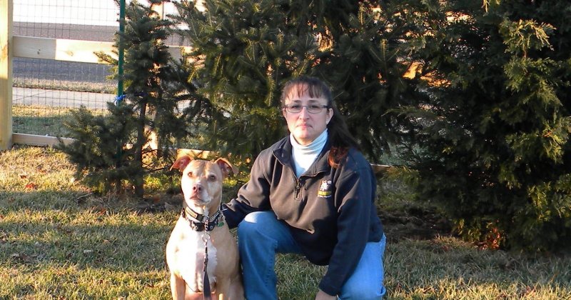 Dog Training in Collegeville, Pottstown, Norristown | Bark Busters
