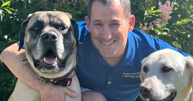 Dog Training in Richmond