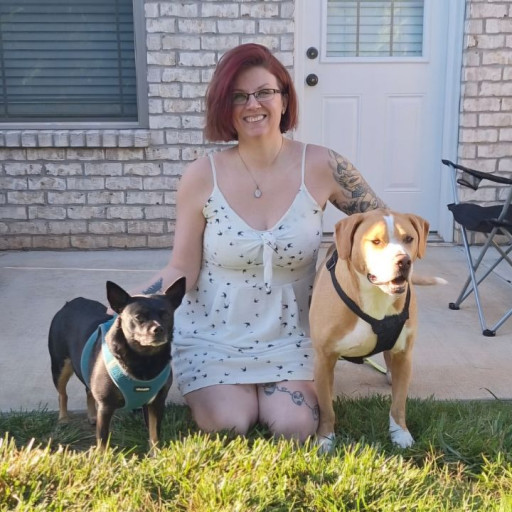 Dog Training in Greater Nashville, Tennessee