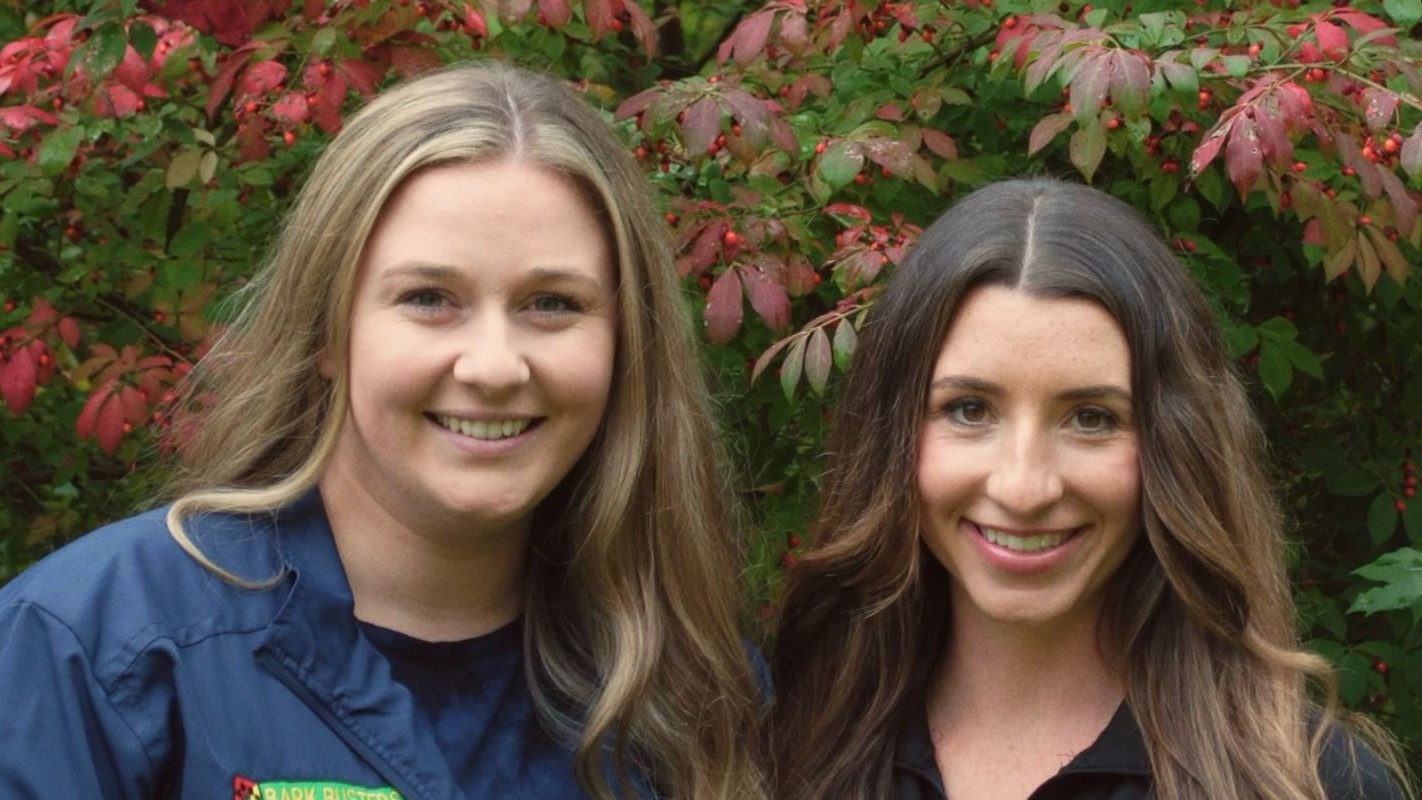 Dog Training in Southern New Hampshire