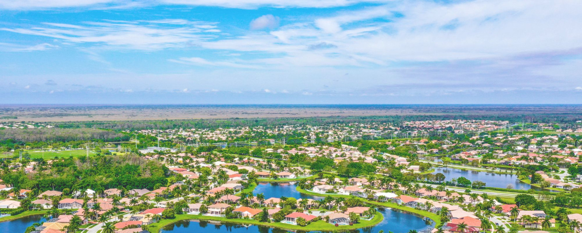 Dog Training in Boca Raton & West Palm Beach