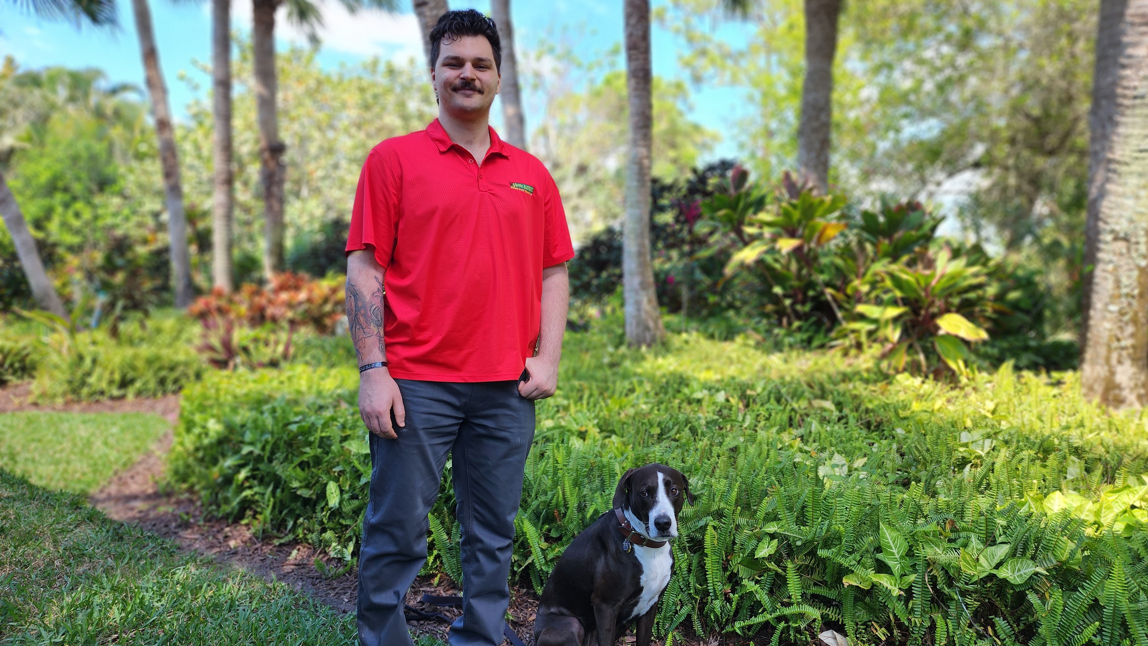 Dog Training in Boca Raton & West Palm Beach
