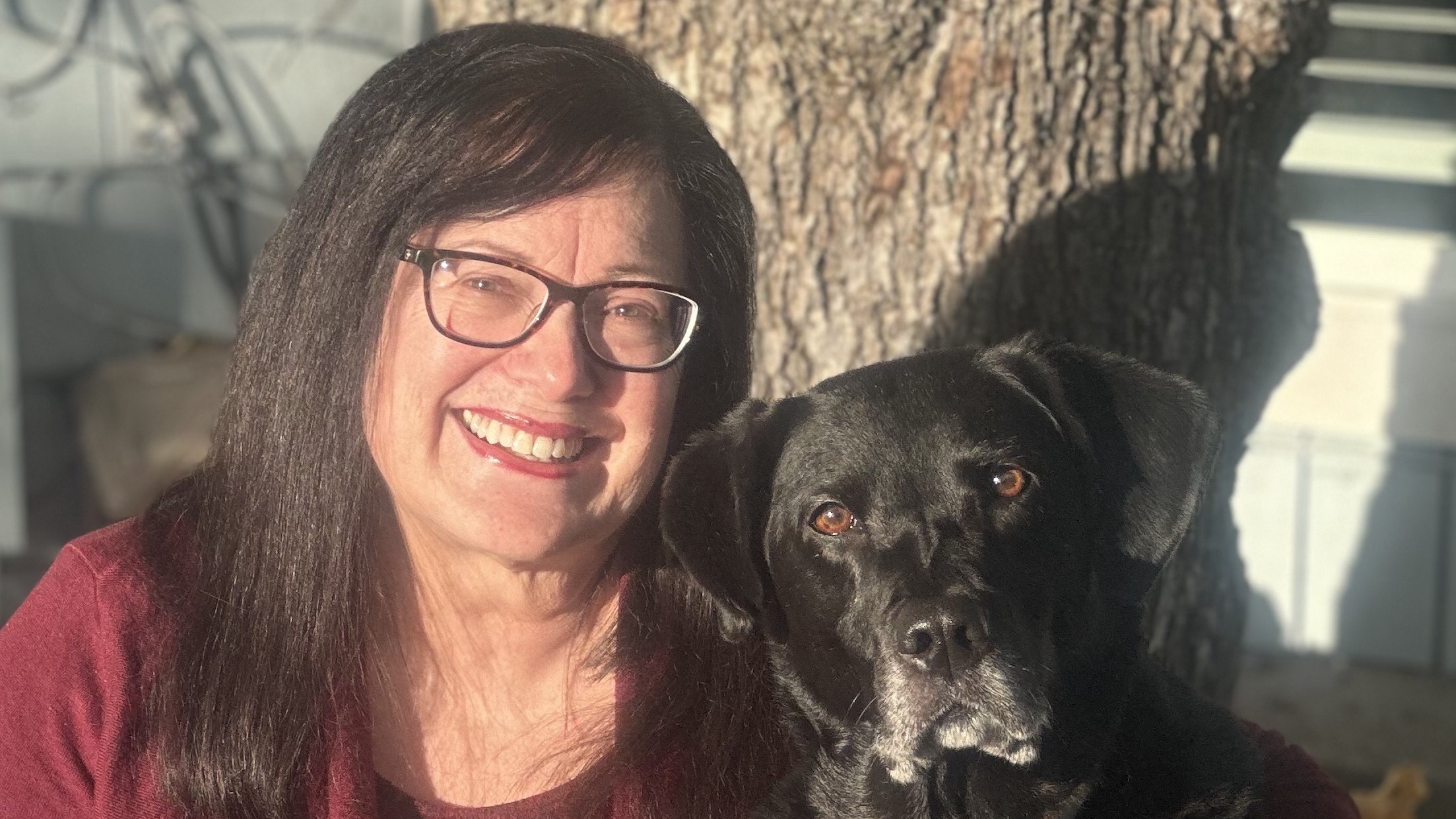 Dog Training in Olympia, WA