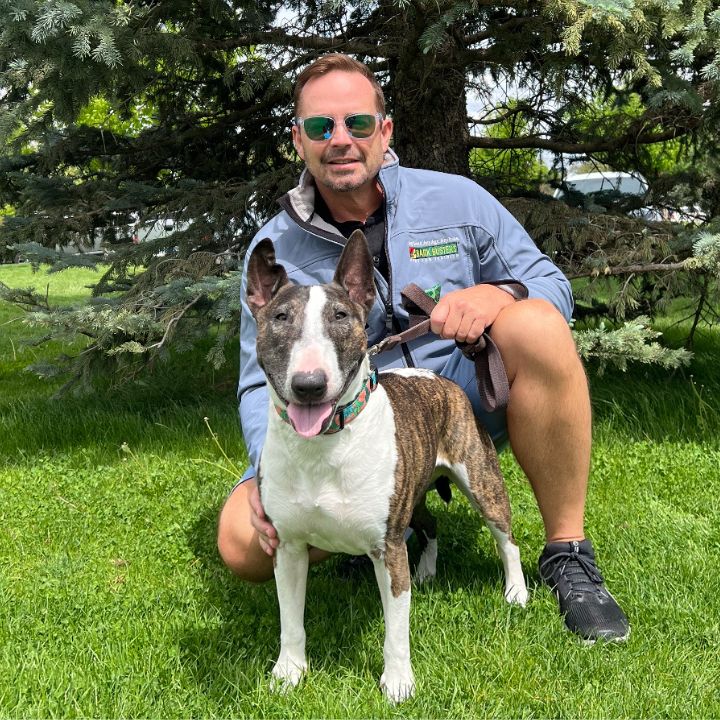 Dog Training in Sacramento