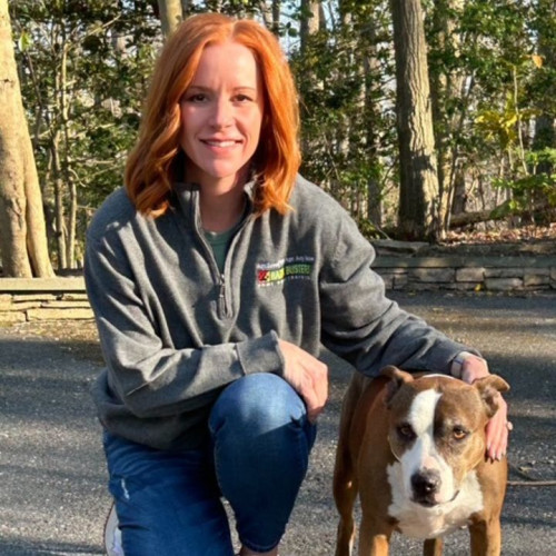 Dog Training in Greater Annapolis & Chesapeake Bay Region | Bark Busters