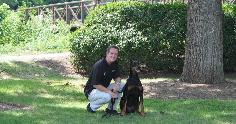 Dog Training in Northern Virginia: Fairfax and Loudoun Counties