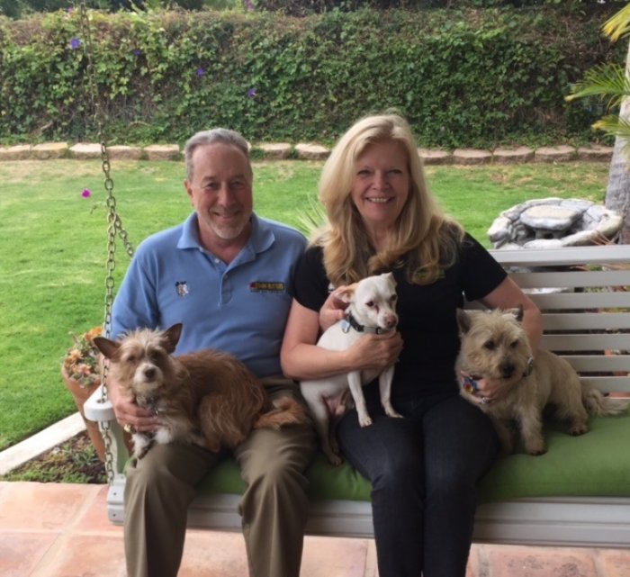 Dog Training in Lake Norman