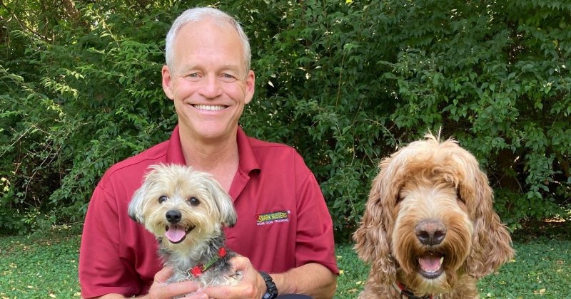 Dog Training in East Louisville, Kentucky