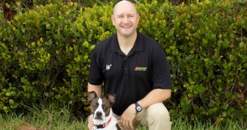 Dog Training in Southwest Florida, Fort Myers & Cape Coral | Bark Busters