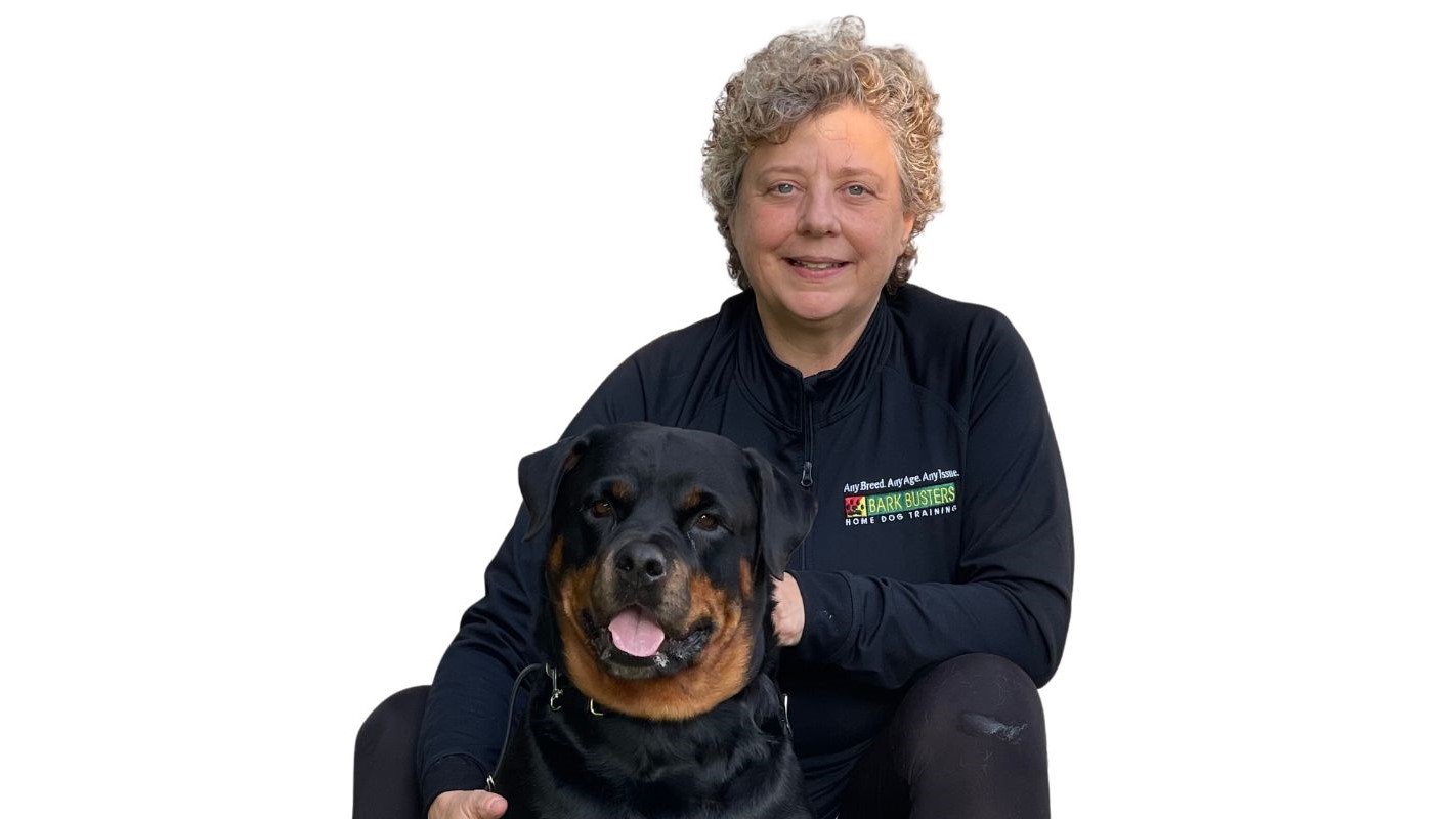 Dog Training in West Michigan